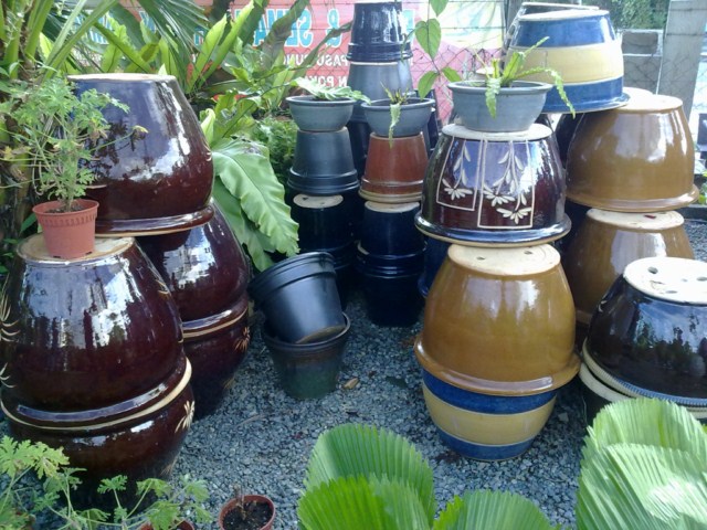 LANGGAR KITA: PASU BUNGA